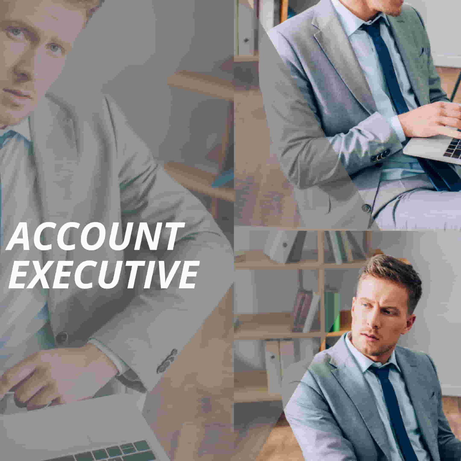 Account Executive - Definition, Aufgabenbereiche und Gehalt