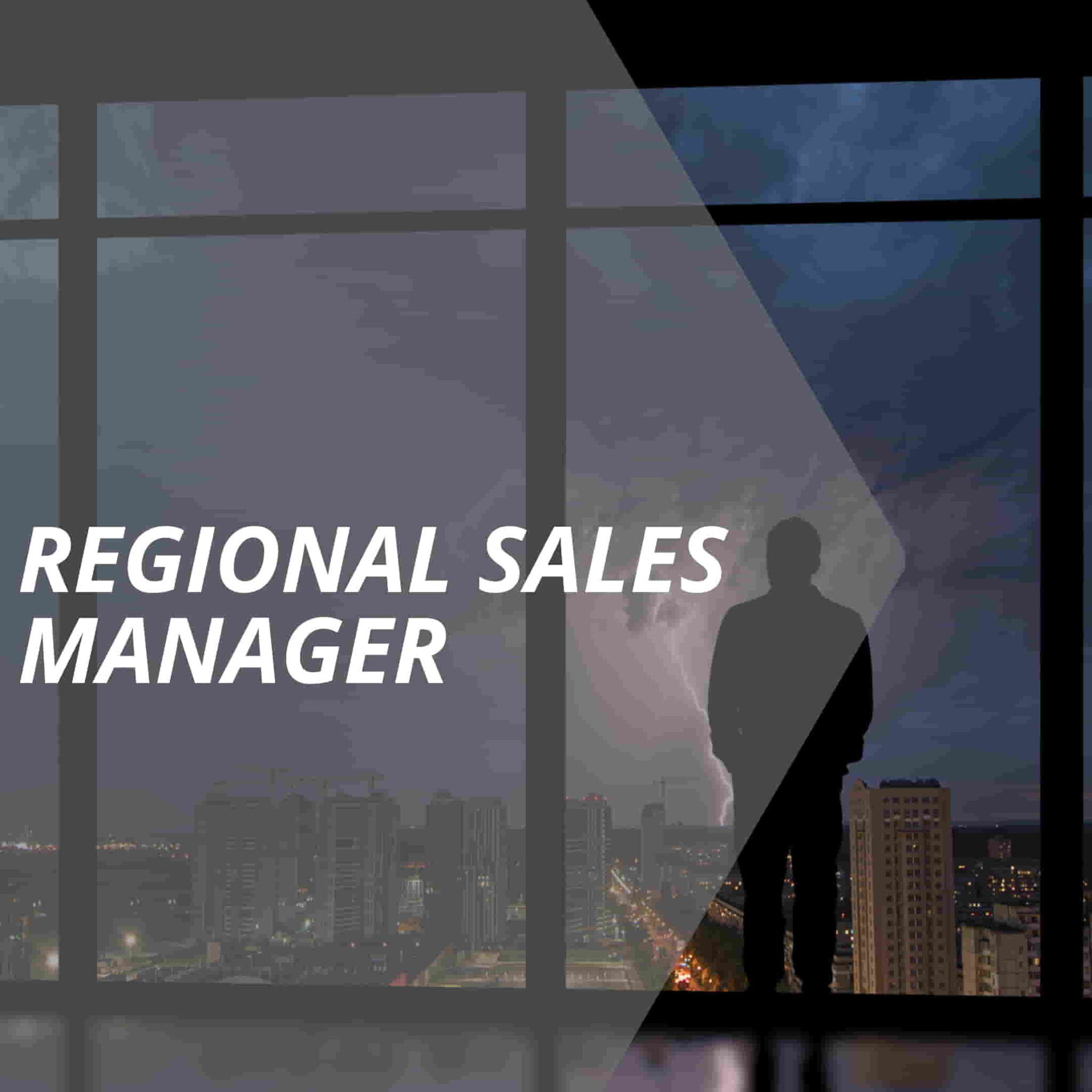 Regional Sales Manager - Definition, Aufgaben und Gehalt