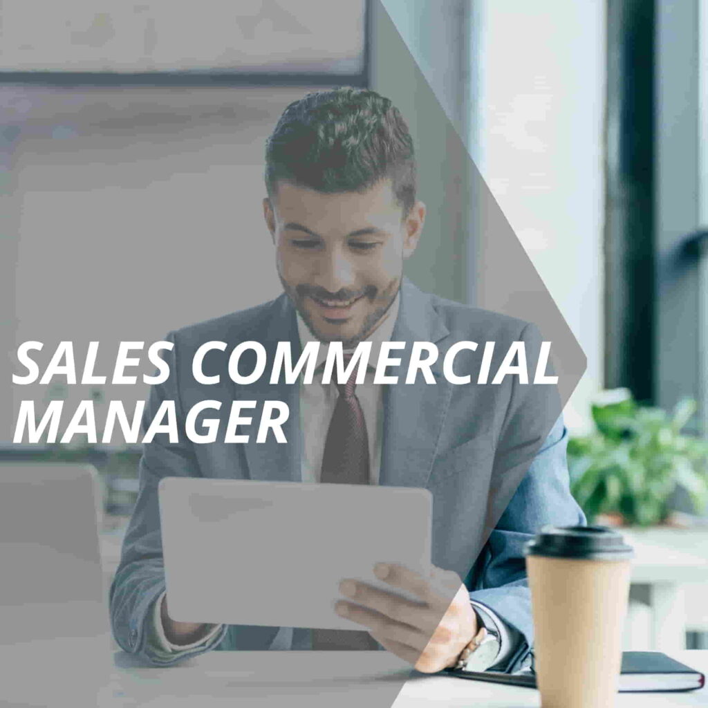 Sales Commercial Agent - Definition, Aufgaben und Gehalt