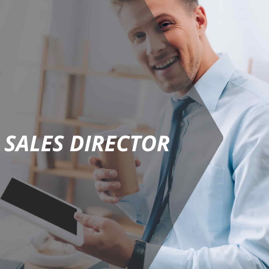 Sales Director - Definition, Aufgaben, Gehalt und Karriere